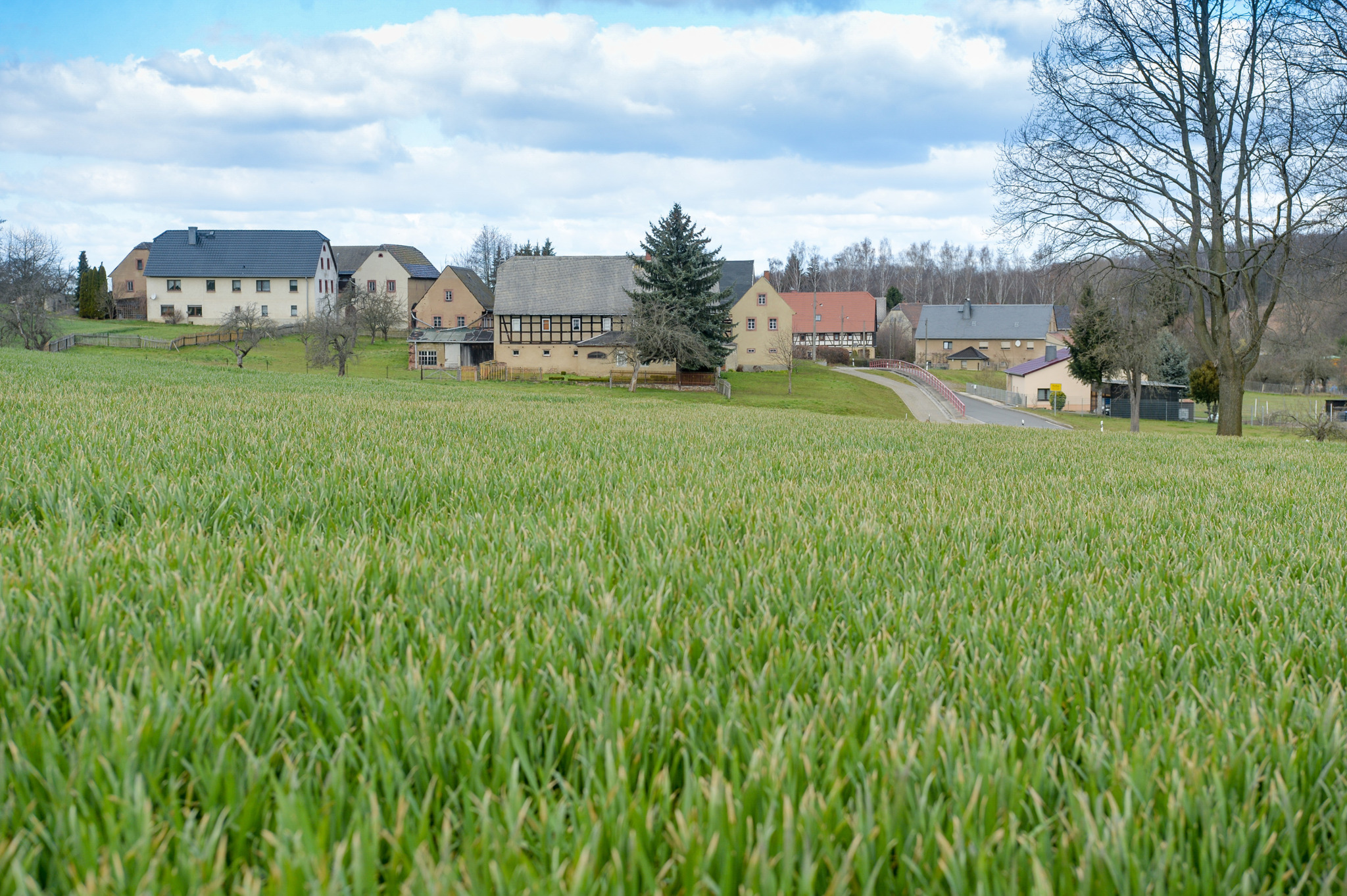Im “Brunnendorf” fließt Trinkwasser - Versorgungsverband Grimma-Geithain